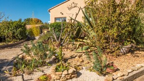 Um jardim com diversas plantas e um edifício ao fundo.
