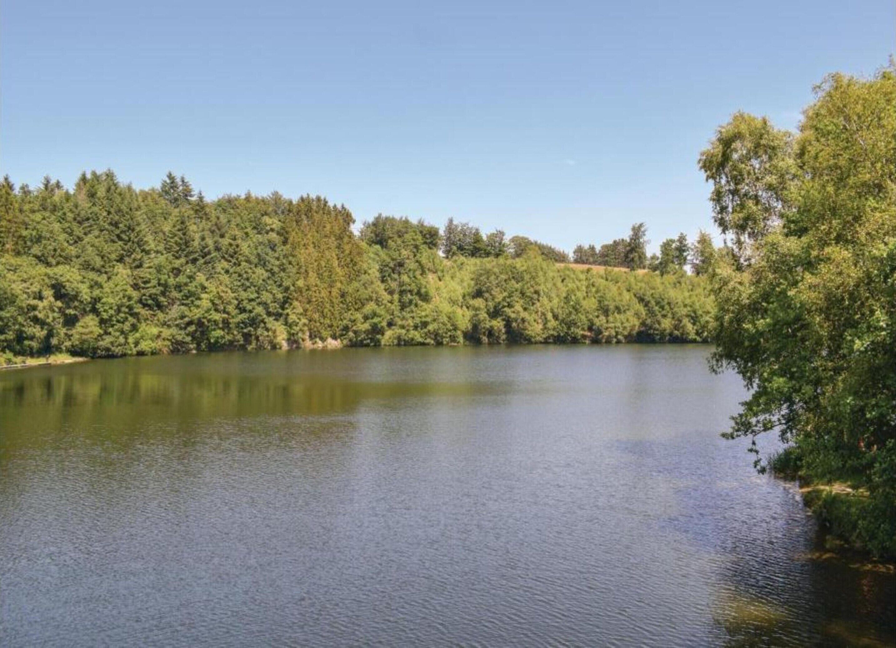 Um lago tranquilo cercado por floresta densa.