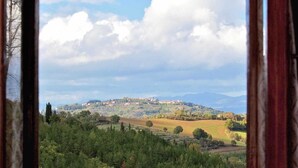 Visão pela janela de uma paisagem com colinas onduladas, vinhedos e uma cidade ao longe.