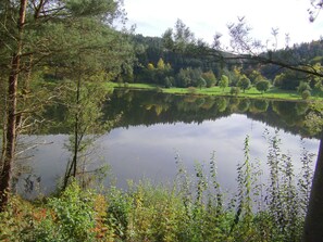 Um lago tranquilo rodeado por árvores densas e uma área gramada com reflexo nítido.