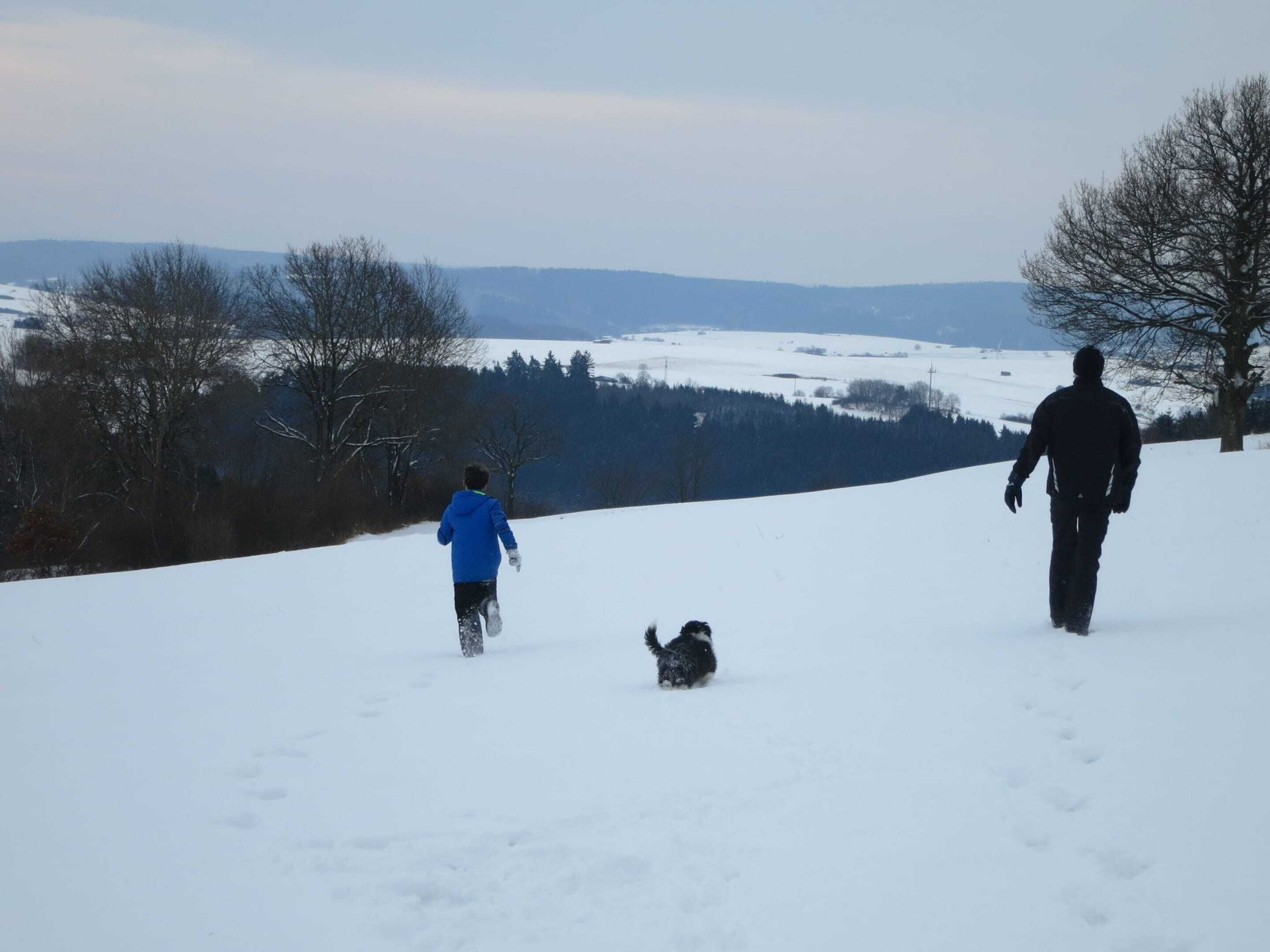 Paisagem nevada com duas pessoas e um cão caminhando em uma encosta.