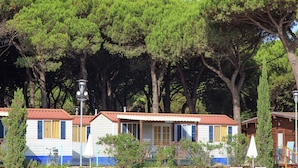 Fileira de cabanas com vista para pinheiros altos.