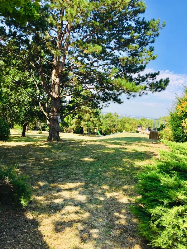 Villa Familiale De 200m2 Avec Piscine à 10 Min Du Centre Ville De Toulouse - Toulouse
