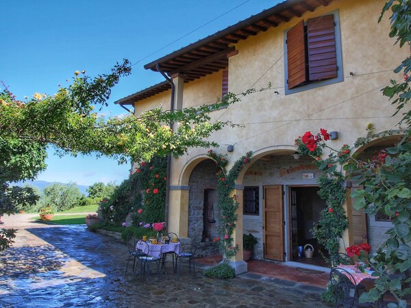 Rustic Farmhouse In Forest - Tuscany