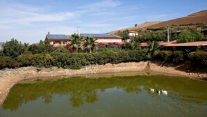 Uma casa com telhado solar, lago com patos e vegetação ao redor.