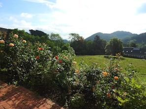 Apartamento | Vista do alojamento