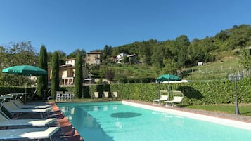 Piscina com espreguiçadeiras e guarda-sóis, cercada por vegetação e edifícios ao fundo.