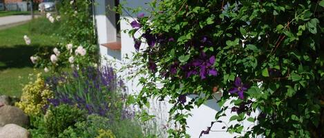 Apartamento | Exterior