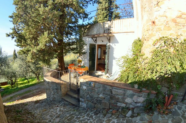Capannori Playful Cottage - Tuscany