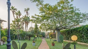 Um caminho no jardim com cactos em vasos e palmeiras.