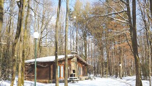 Uma cabana numa floresta nevada, com uma mesa de piquenique e um poste de luz.