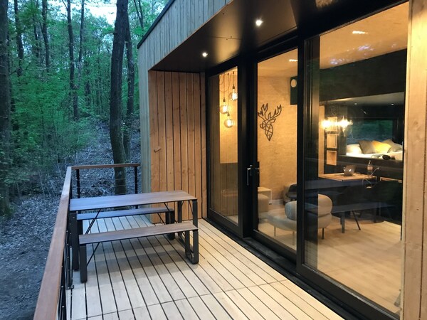 Lodge In Oignies Forest With Eco Design - Viroinval