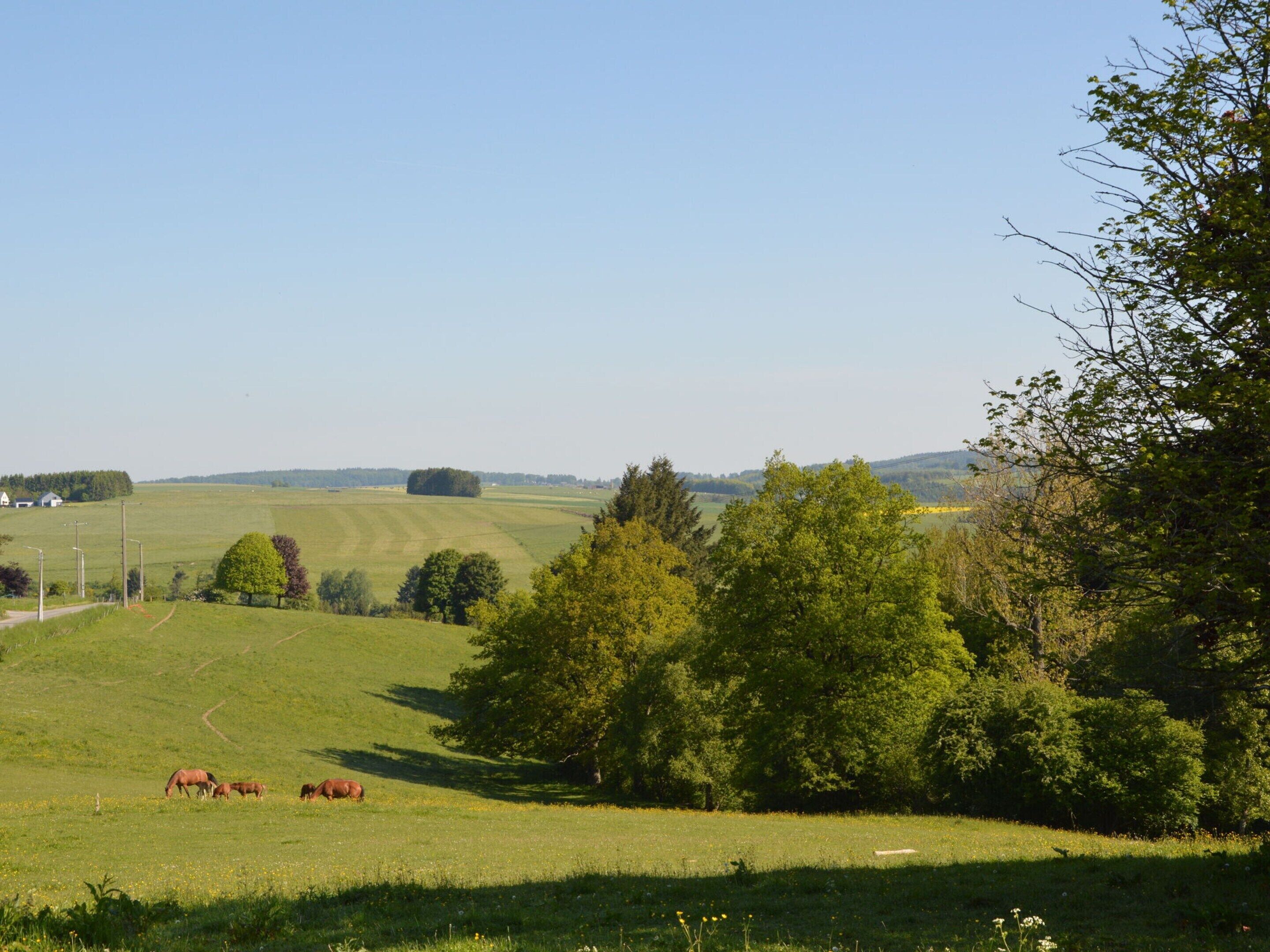 Paisagem rural com campos verdes ondulantes, alguns cavalos pastando e um céu azul límpido.
