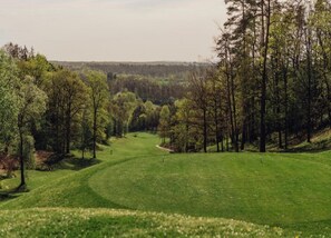 Um campo de golfe com um green bem cuidado, rodeado por árvores altas e uma área florestal distante.