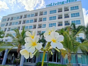 Pormenores do exterior