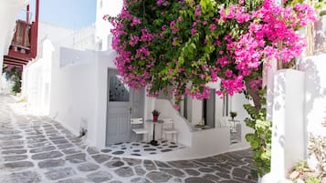 Pormenores do exterior