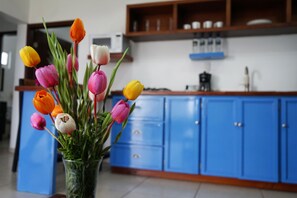 Villa, 1 quarto, vista para o oceano | Cozinha privada | Um micro-ondas, utensílios de cozinha, Congelador 