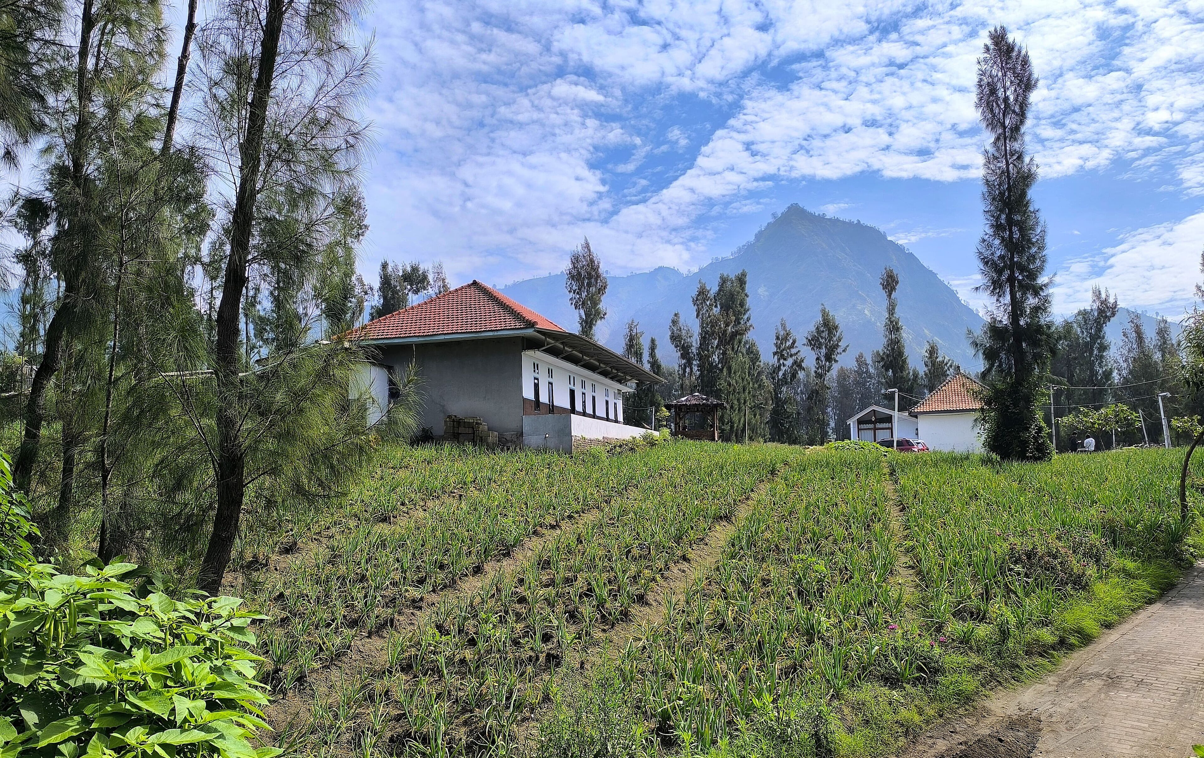 Uma casa com telhado vermelho, cercada por um campo verdejante e árvores altas, com uma montanha ao fundo.