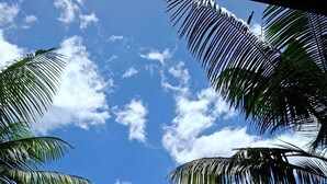 Uma paisagem exuberante com uma montanha imponente ao fundo, rodeada por vegetação densa e um céu azul límpido.