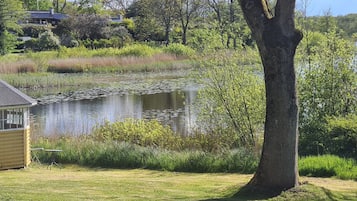 Lago