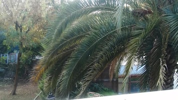 Terrenos do alojamento