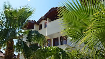 Pormenores do exterior