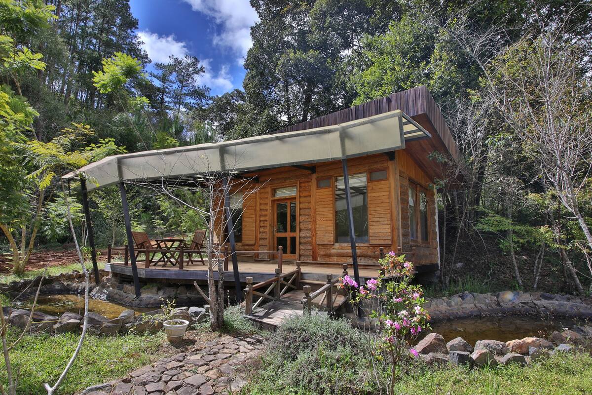 Uma cabana de madeira com varanda coberta, rodeada por uma floresta exuberante e um pequeno lago.