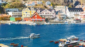 Uma cidade costeira com casas coloridas, um porto com barcos e uma encosta rochosa ao fundo.