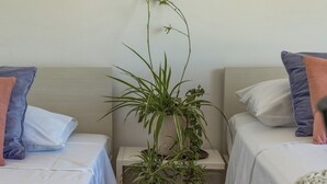 Quarto com duas camas, cada uma com travesseiro e mesa de cabeceira. Há uma planta em vaso no chão entre as camas.