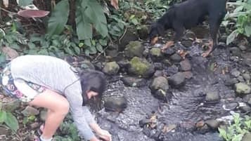 Terrenos do alojamento