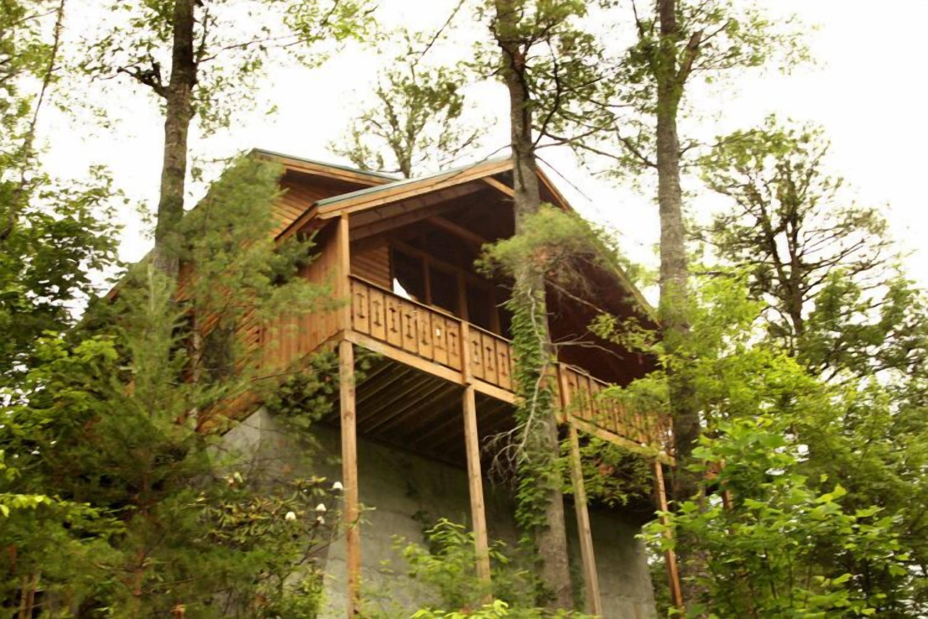 Estúdio (1 Bedroom) | Comodidade do alojamento