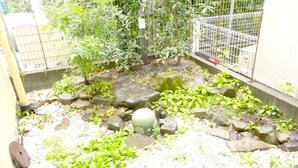 Jardim