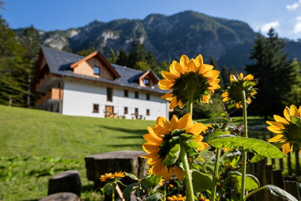 Apartments Goldhorn Kingdom - Ribčev Laz