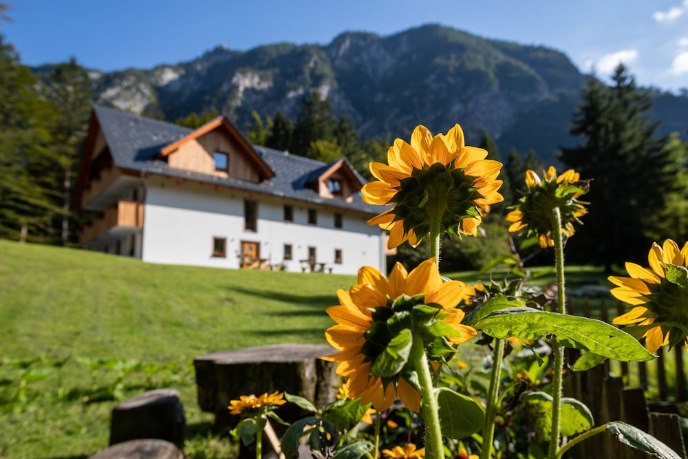 Apartments Goldhorn Kingdom - Ribčev Laz