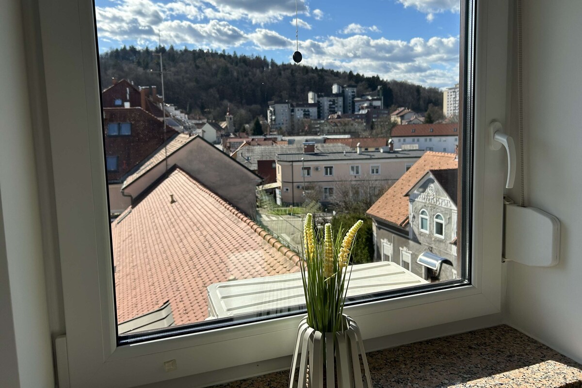 Uma janela com vista para uma cidade, uma planta em vaso e um termostato.