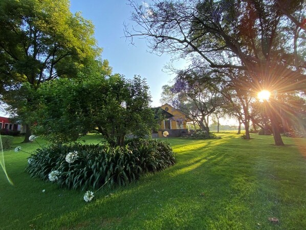 Um gramado bem cuidado com diversas árvores e um edifício ao fundo.