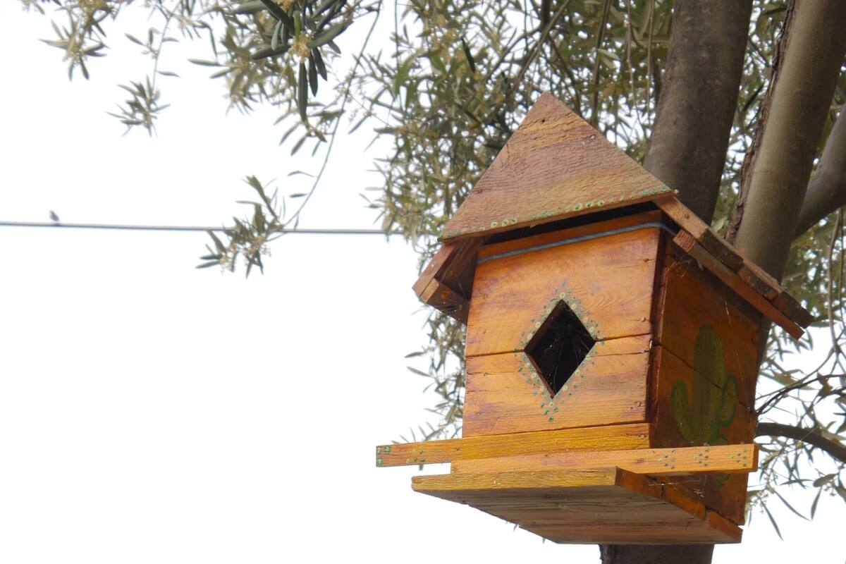 Uma casa de pássaros de madeira presa a uma árvore, com uma casa ao fundo.
