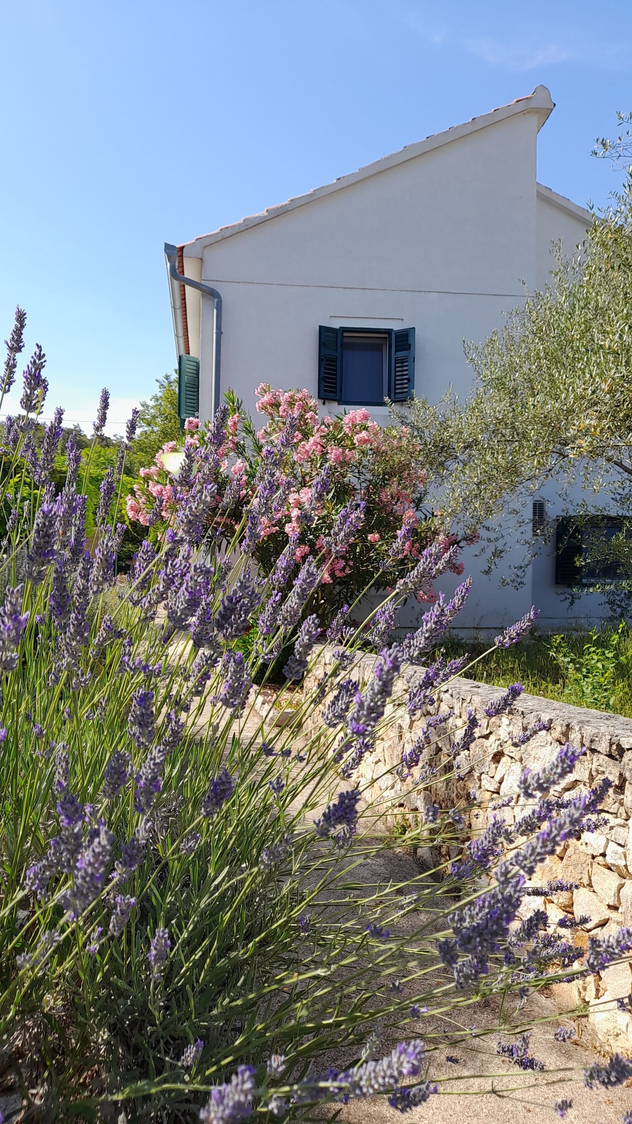 Casa, 3 quartos, para fumantes, sacada | Fachada