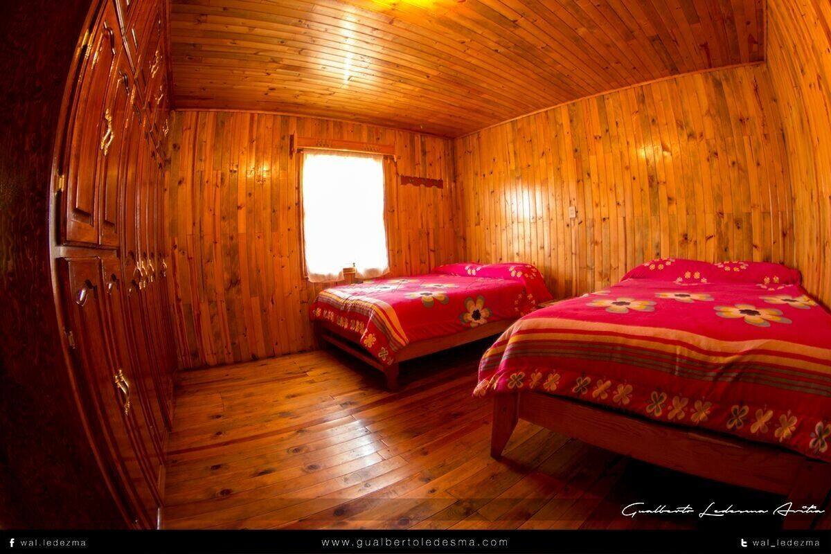 Um quarto de madeira com duas camas, uma janela e paredes de madeira.