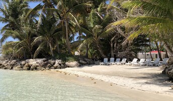 Uma praia com palmeiras, costa rochosa e cadeiras de descanso brancas.