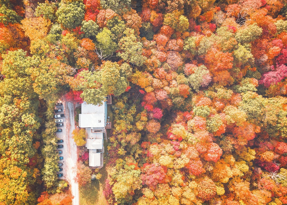 Treetop Retreat - Indiana (State)