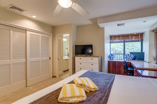 Tropical Themed W/a/c & Lanai-kaanapali Royal - Maui, HI