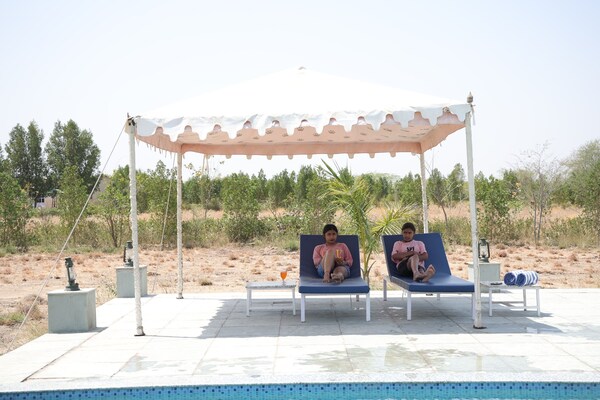 贾瓦伊贝拉豹营 - 拉賈斯坦邦