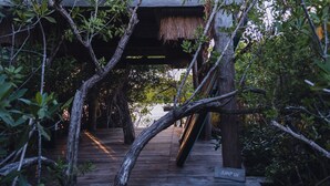 Um deck de madeira leva a uma construção com telhado de palha, cercada por vegetação densa.