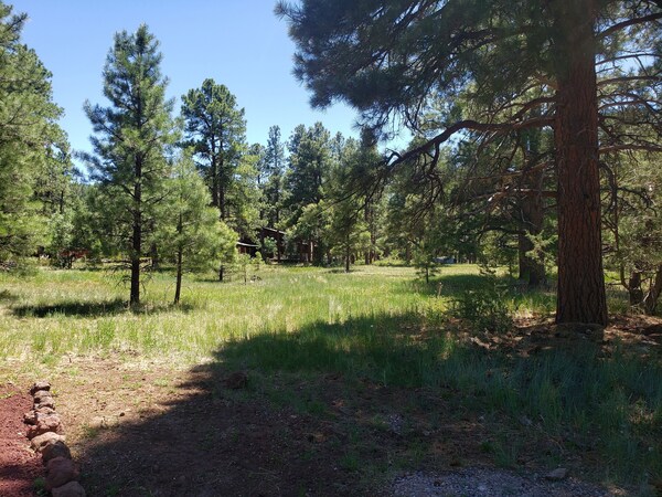 Peaceful Home In The Pines! Come Experience Williams!\n - Williams, AZ