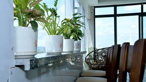 Cozinha com bancada, plantas em vasos e uma cadeira.