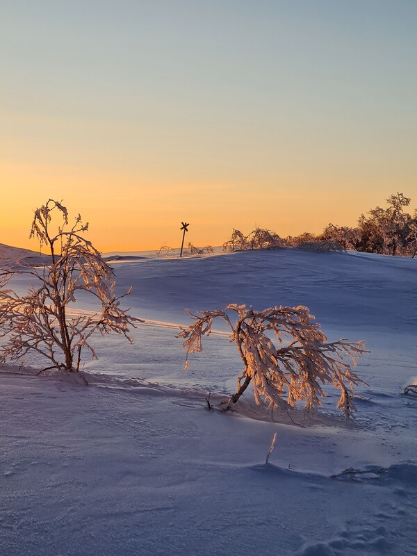 Vauldalen Fjellhotell - Härjedalen