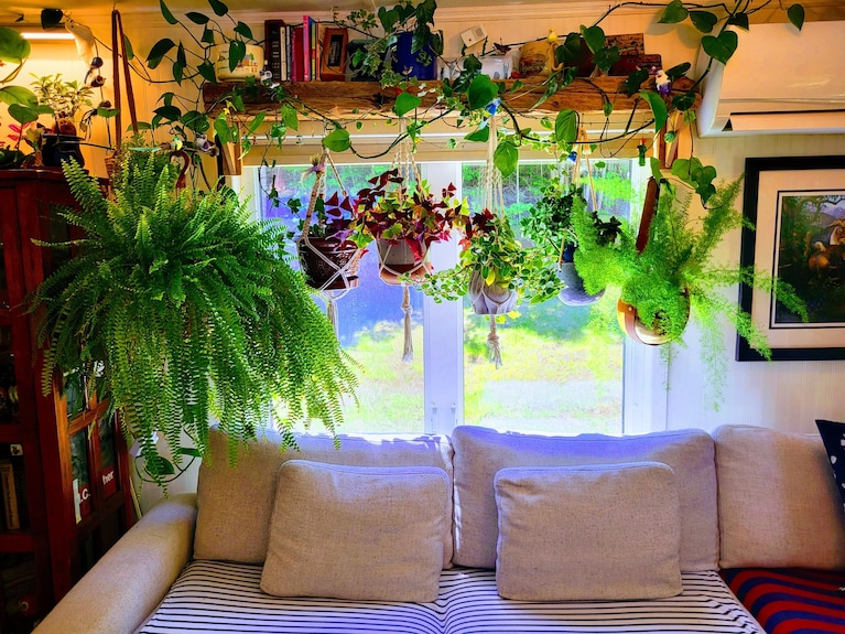 Miracles On Polly - Enchanted River Retreat - Prince Edward Island