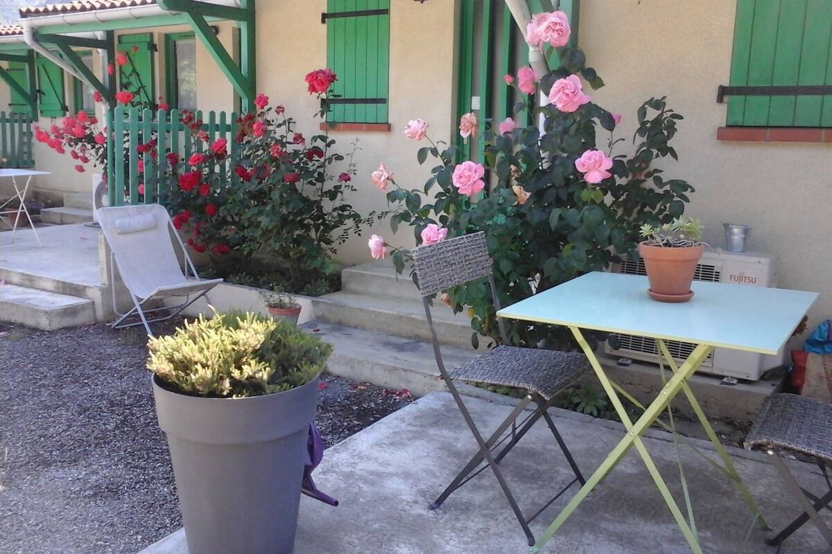 Uma área de pátio com assentos externos, uma planta em vaso e um edifício com persianas verdes.