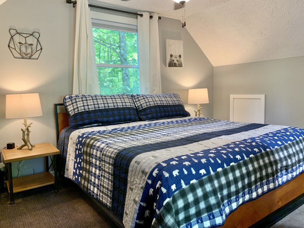 Renovated Betsie River Cabin 3bd+2ba+loft By Crystal Mtn, 8acres, 600’ Frontage! - Thompsonville, MI